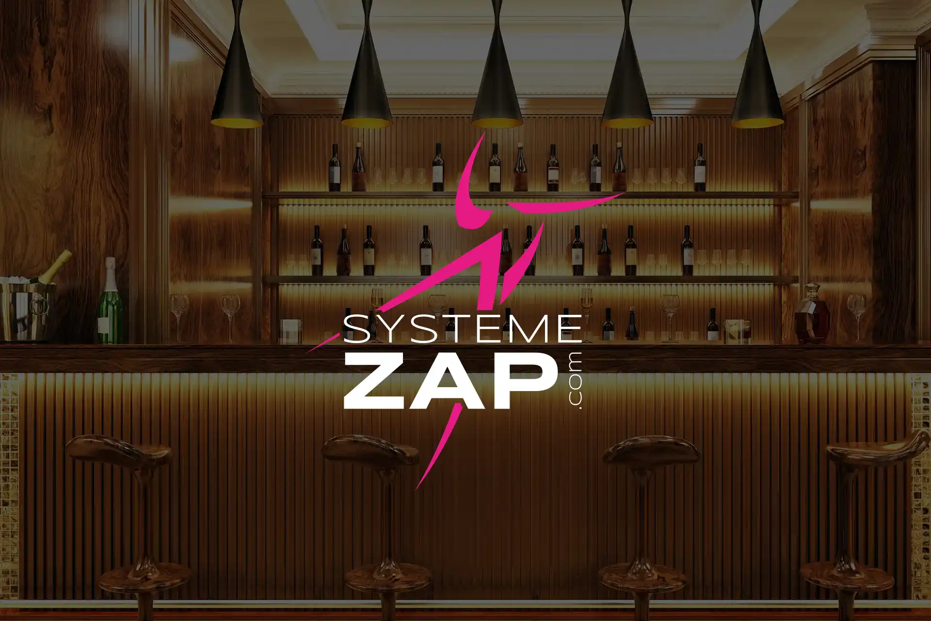 Bar, Snack, Boutique... - Système ZAP